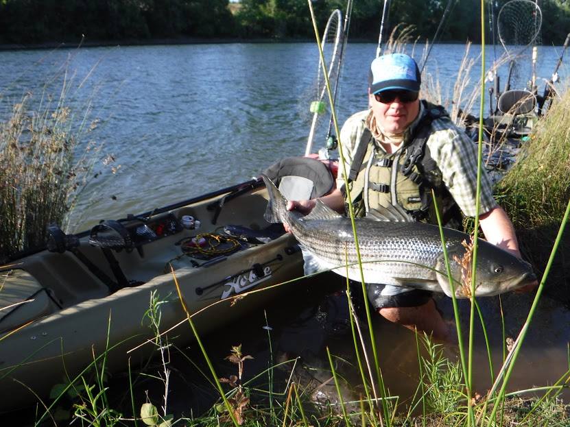 Adam Koons Angler Profile