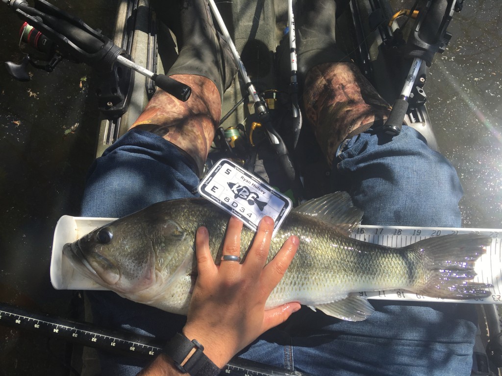 Ryan Hulsey Angler Profile