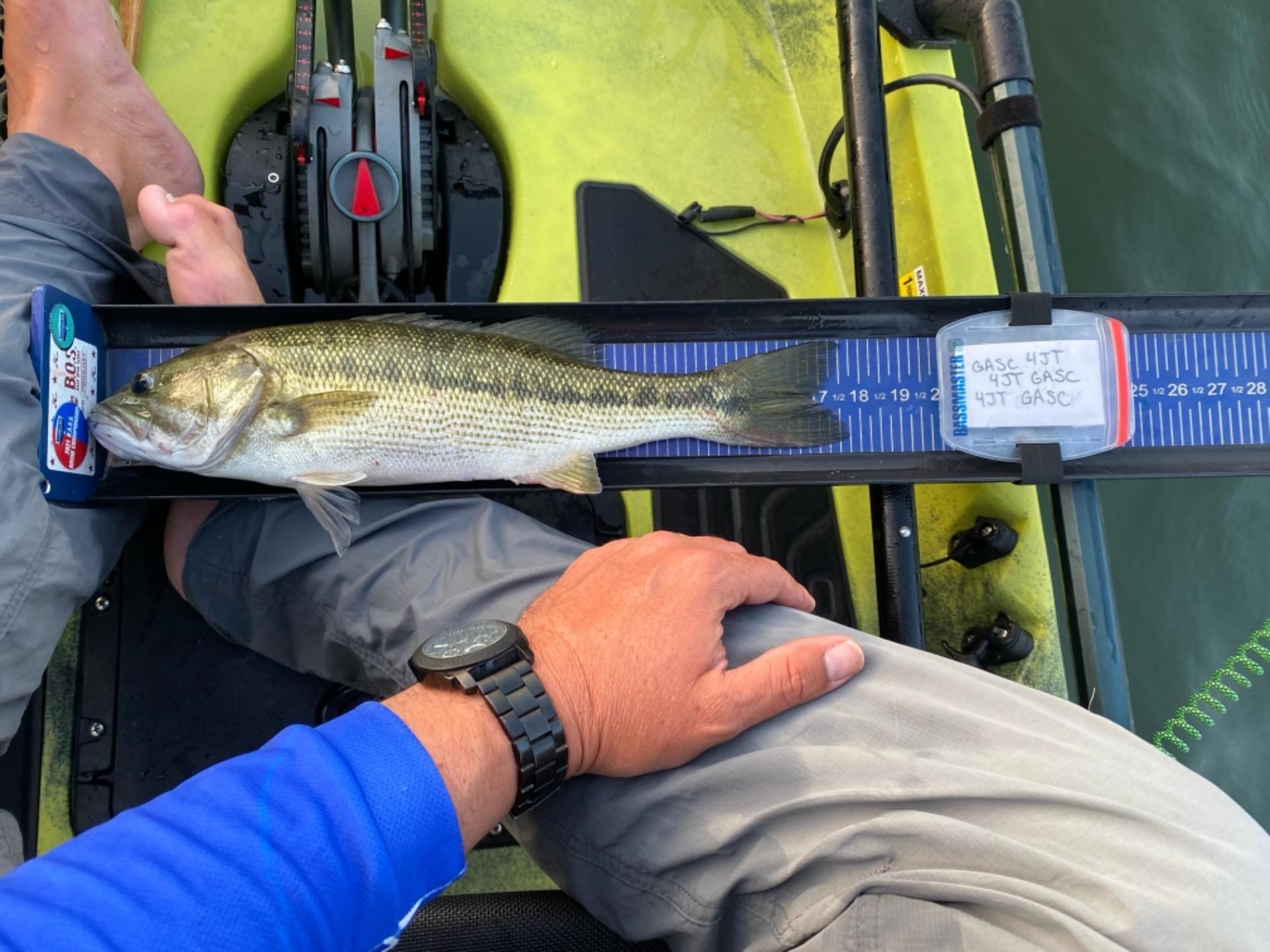 Joshua Diehl Angler Profile