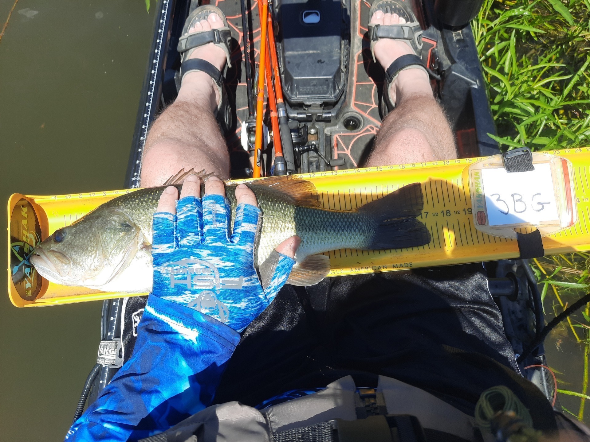 Adam Corn Angler Profile