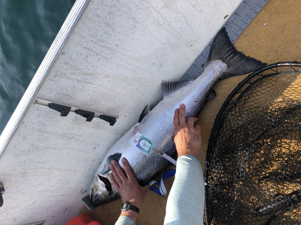 Kevin Tearle Angler Profile