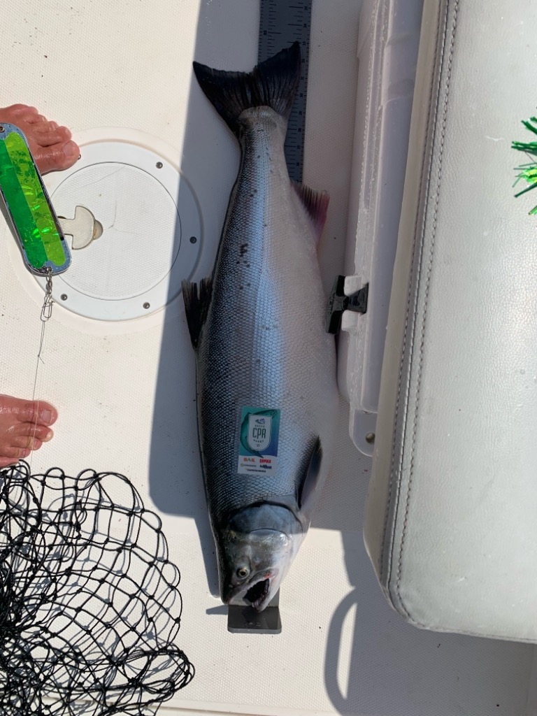 Matt Parent Angler Profile