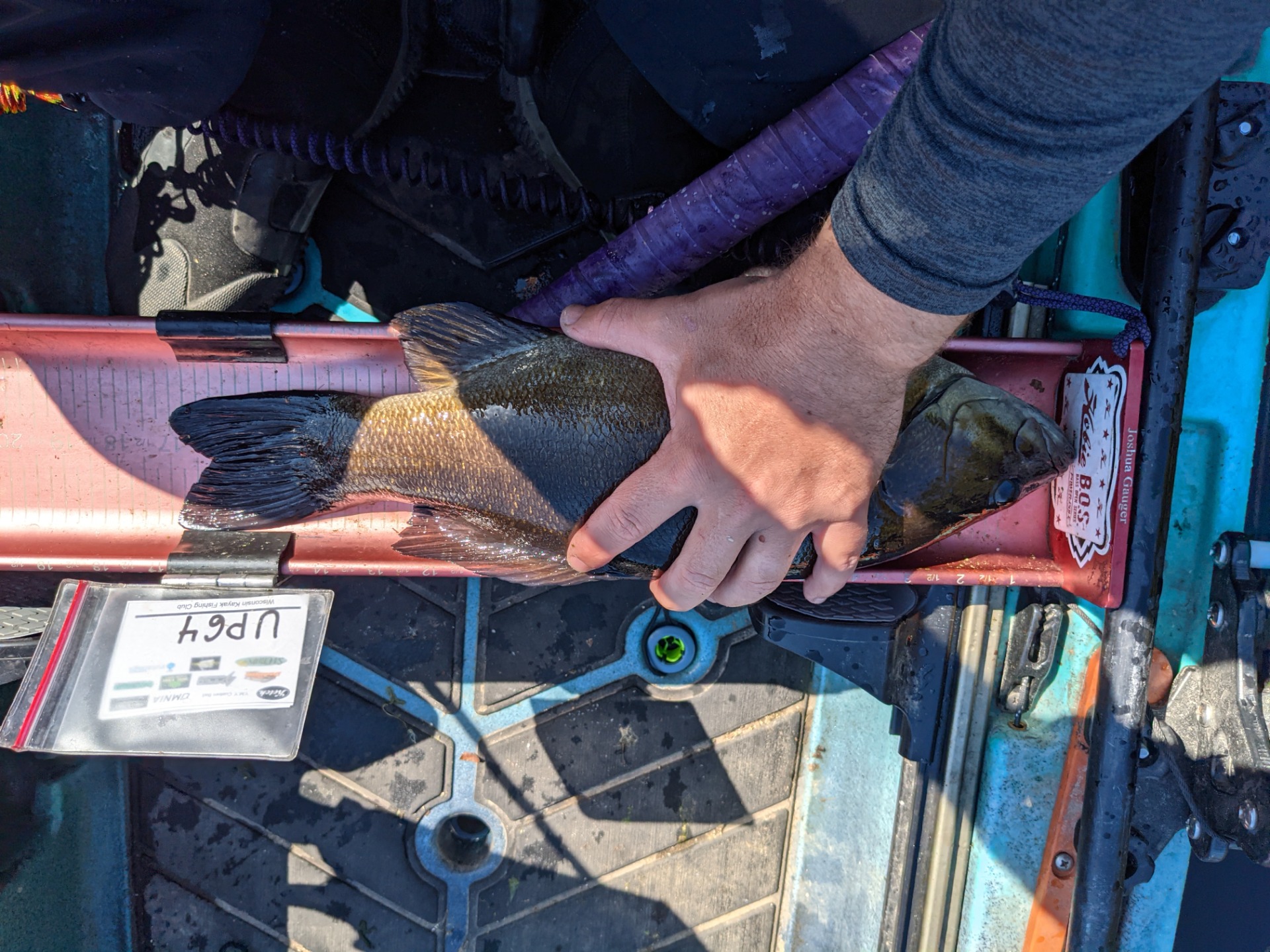 Joshua Gauger Angler Profile