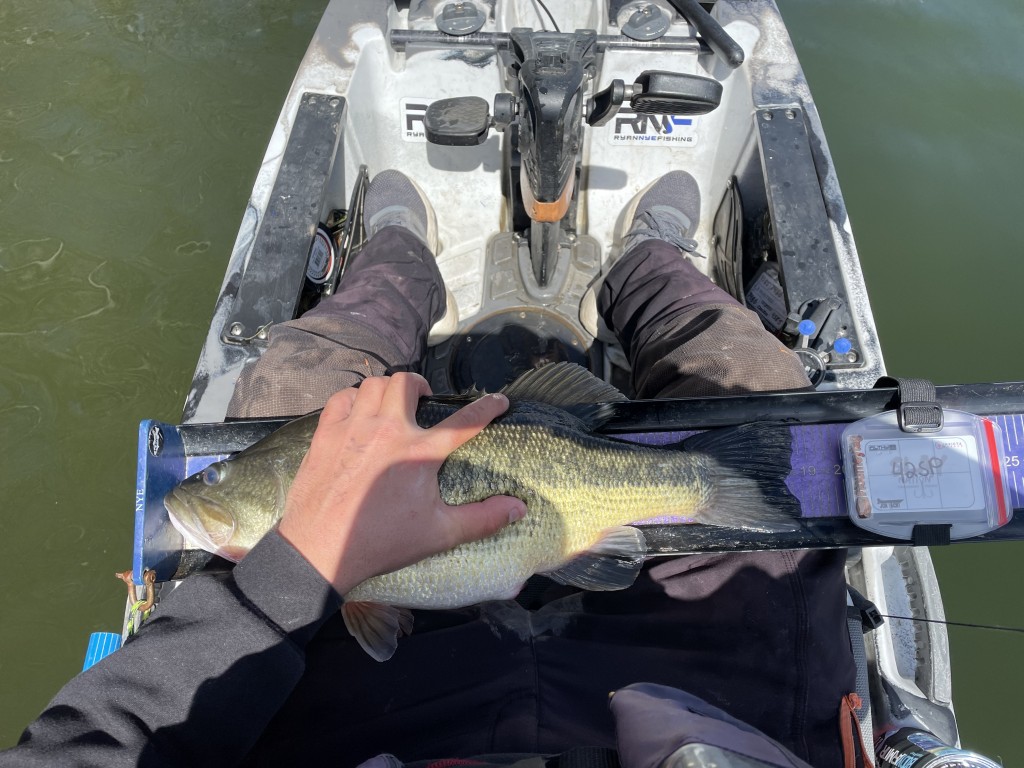 Ryan Nye Angler Profile