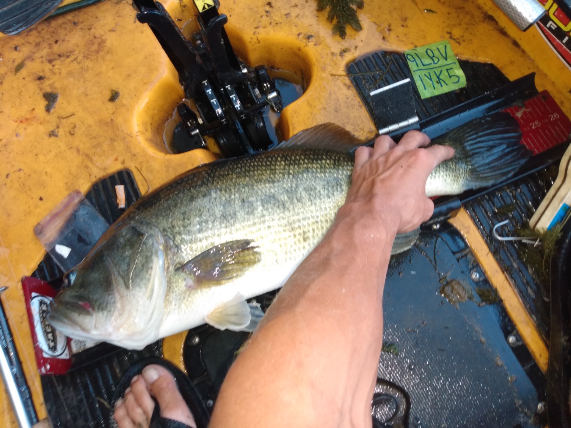 Joby Berry Angler Profile