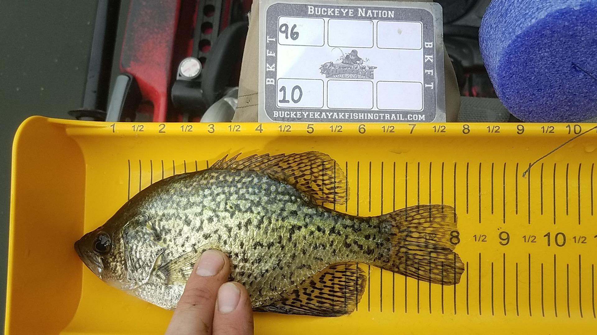 Tim Troutner Angler Profile