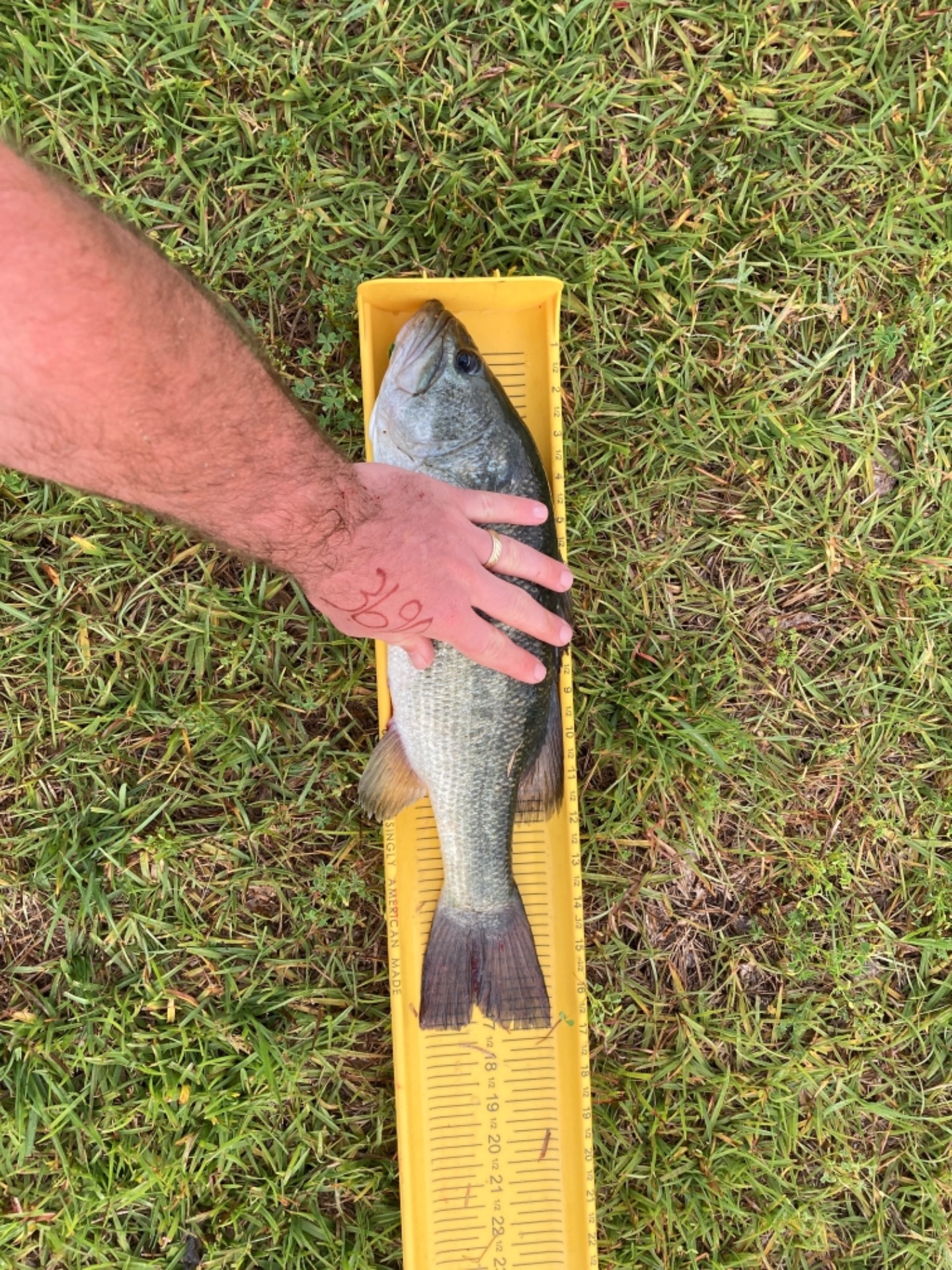 Jonathan Conner Angler Profile