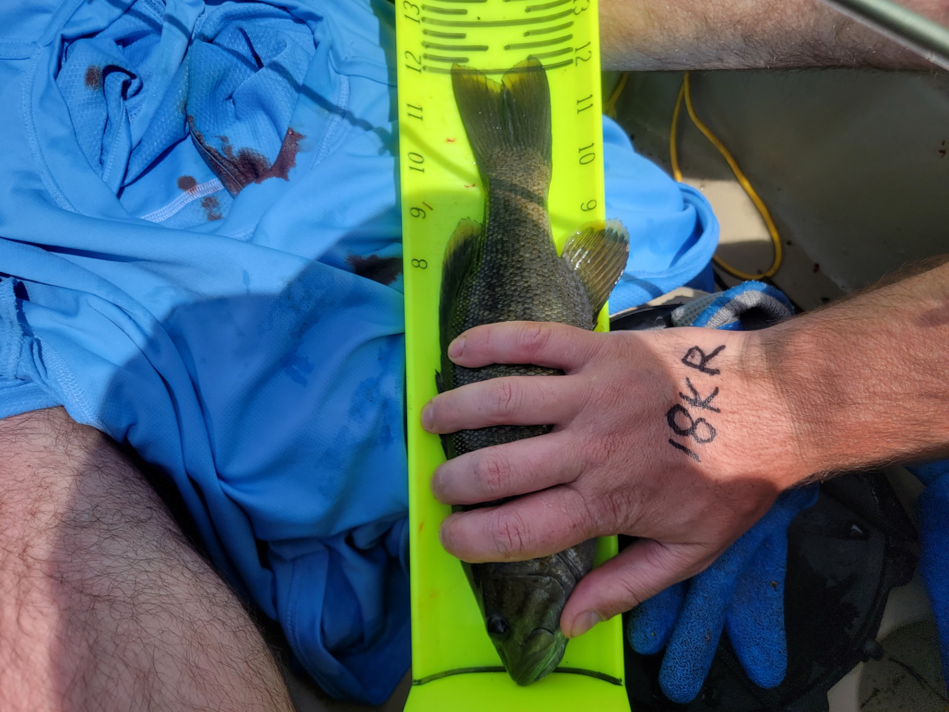 Brandon Barger Angler Profile