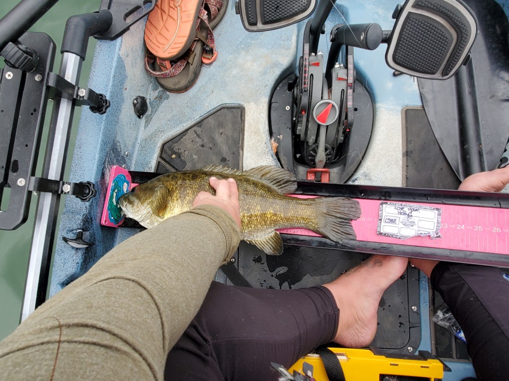 Erin Mathis Angler Profile