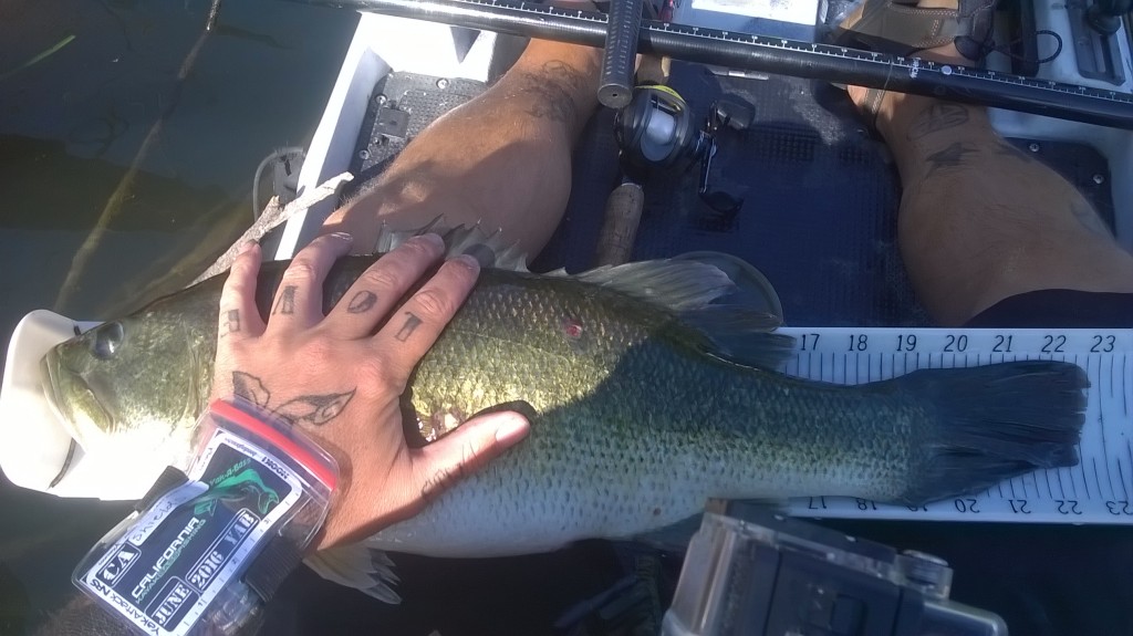 kenneth shields Angler Profile