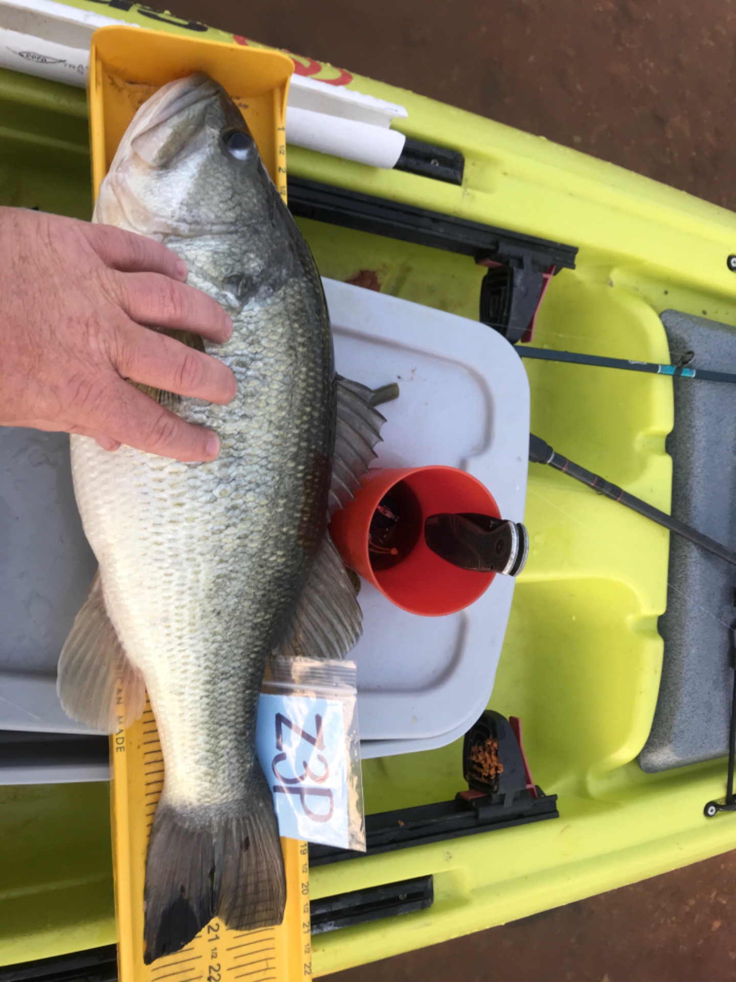 Kip Stratton Angler Profile