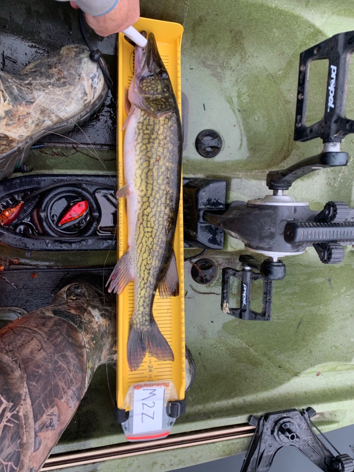 Greg Kessinger Angler Profile