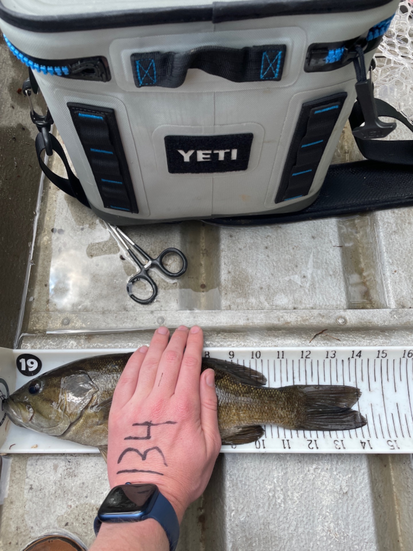 Brandon Ridgeway Angler Profile