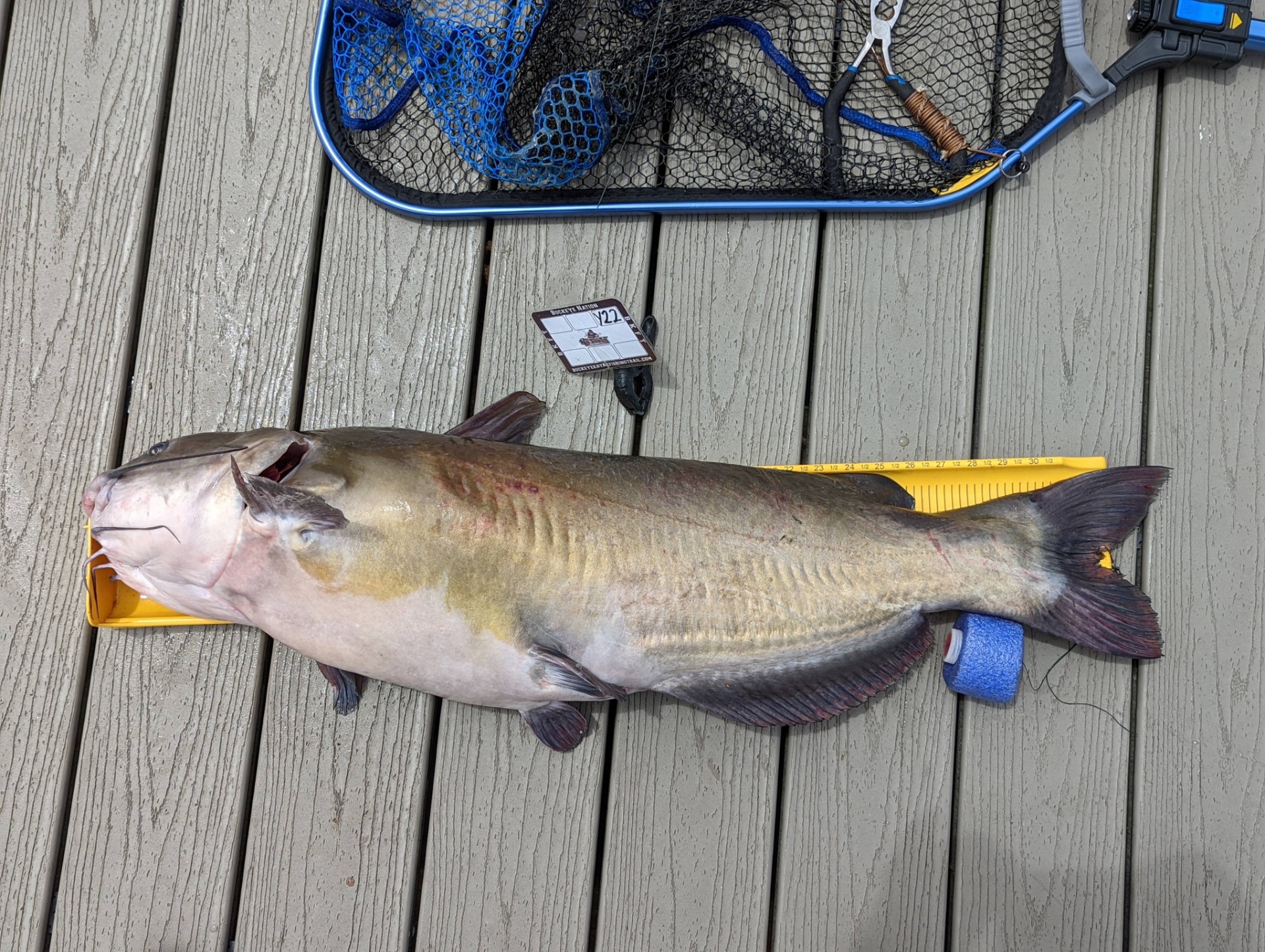 Tim Troutner Angler Profile