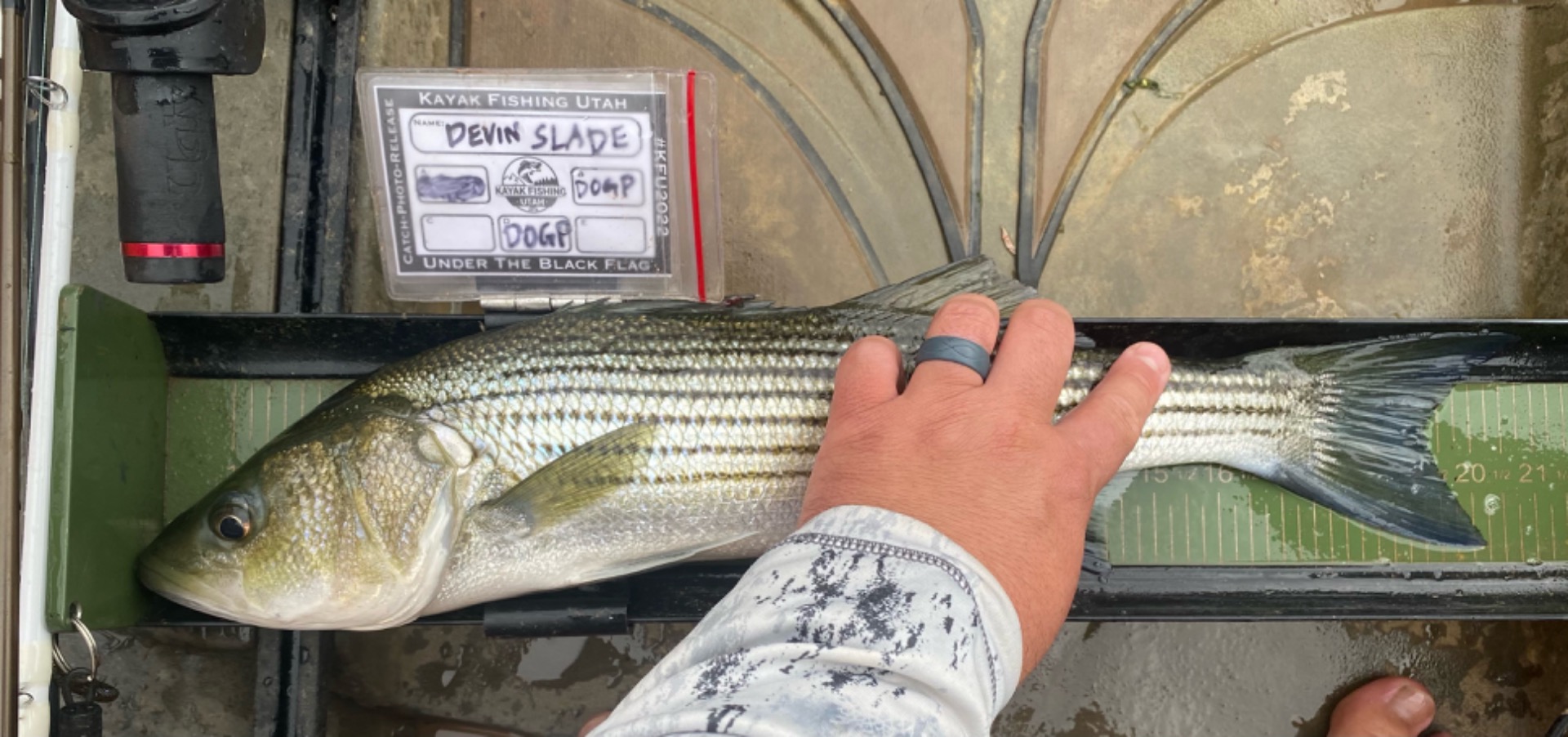 Devin Slade Angler Profile