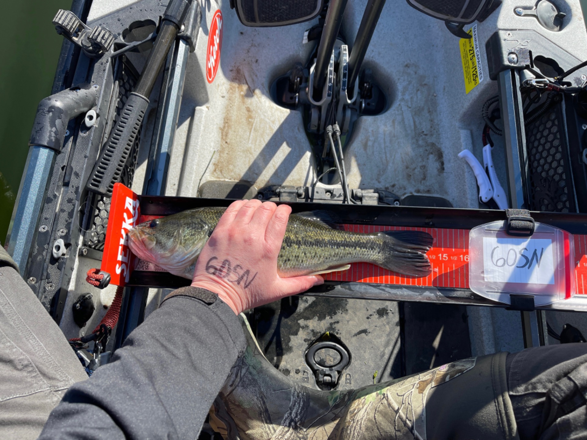 Kayleigh Pulliam Angler Profile