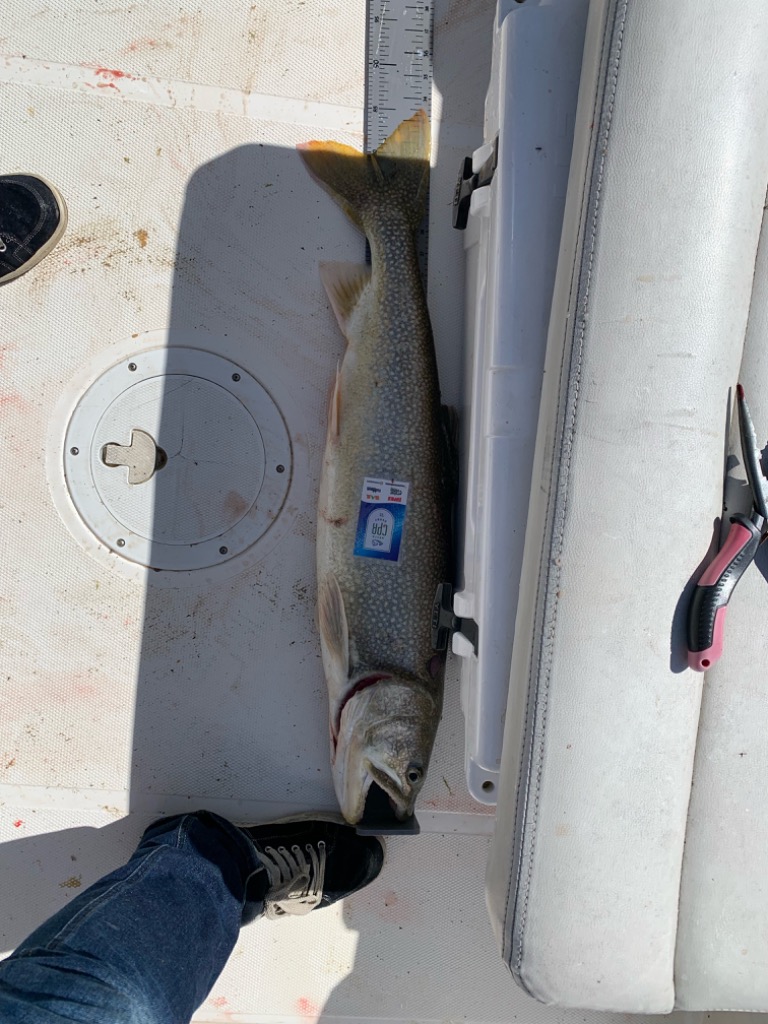 Matt Parent Angler Profile