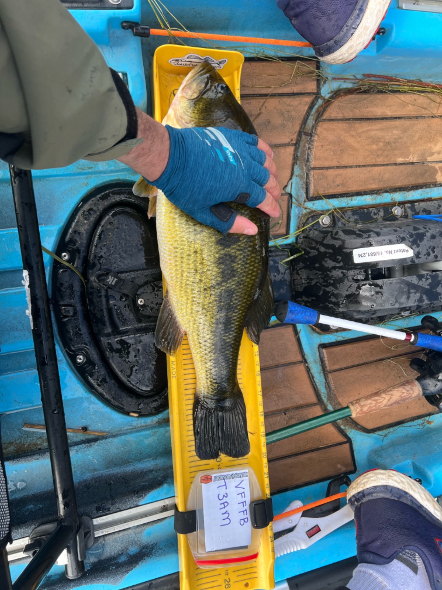 Andrew Beaudoin Angler Profile