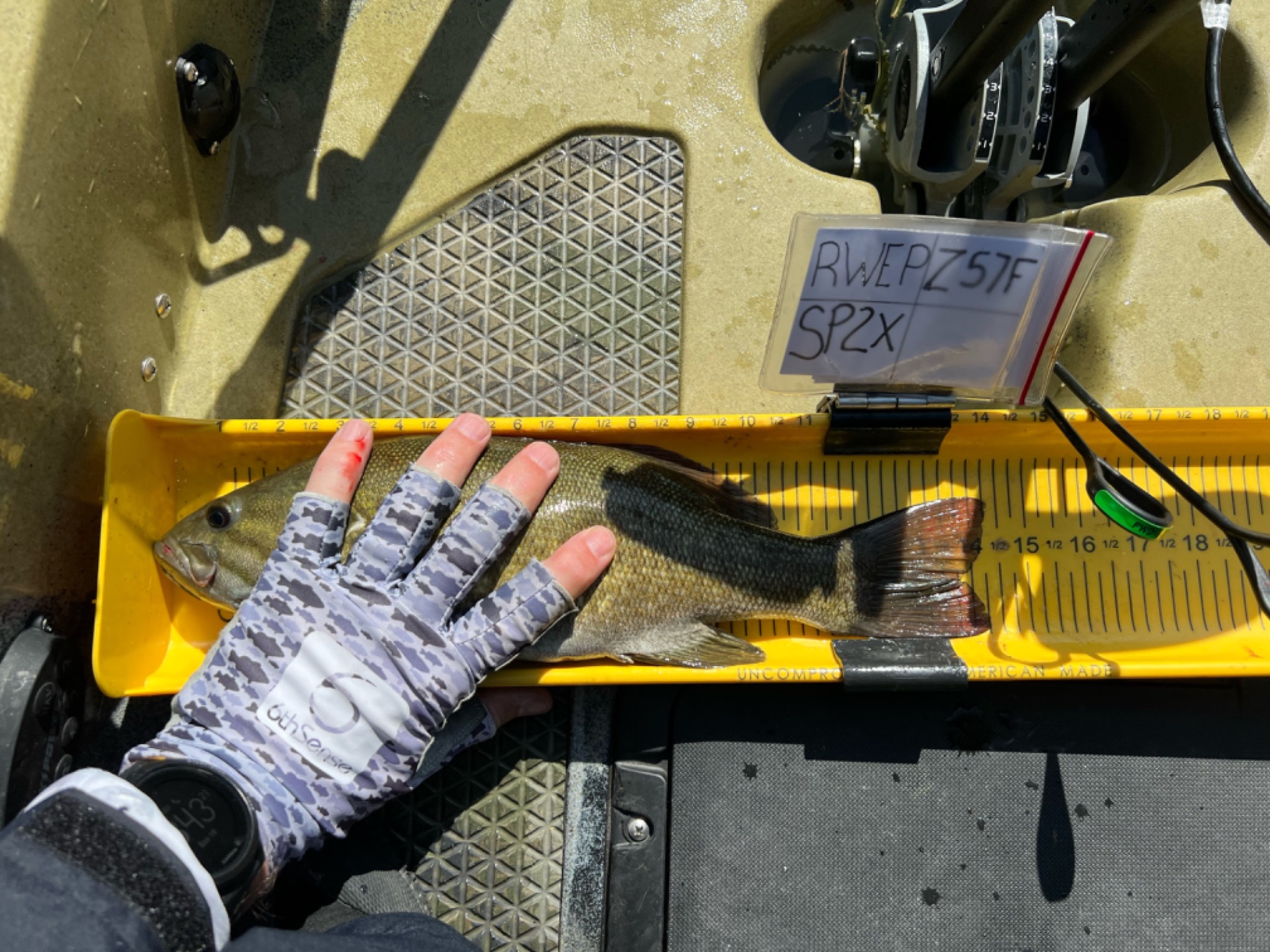 Mark Nienhuis Angler Profile