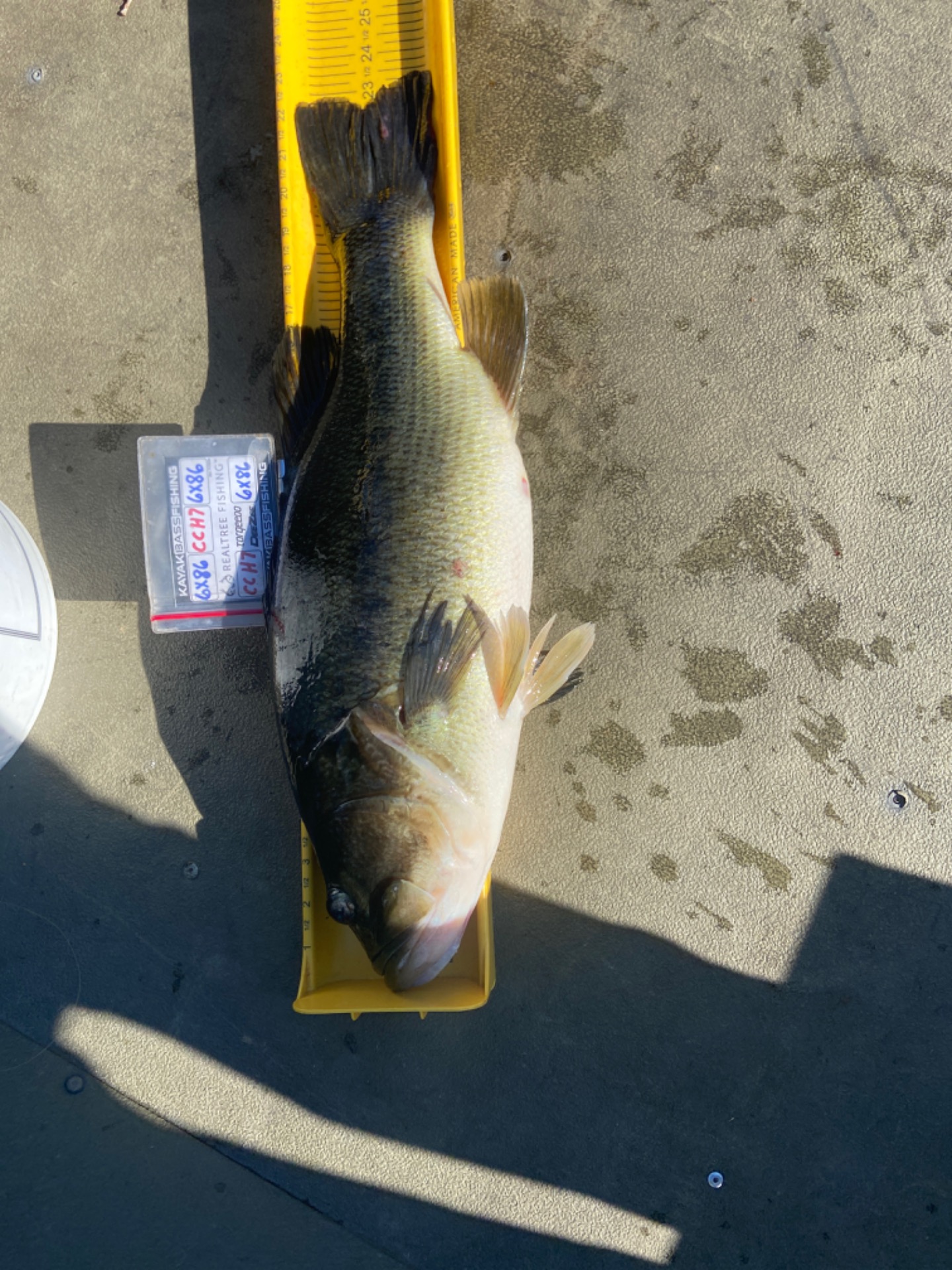 Wilton Rogerson Angler Profile