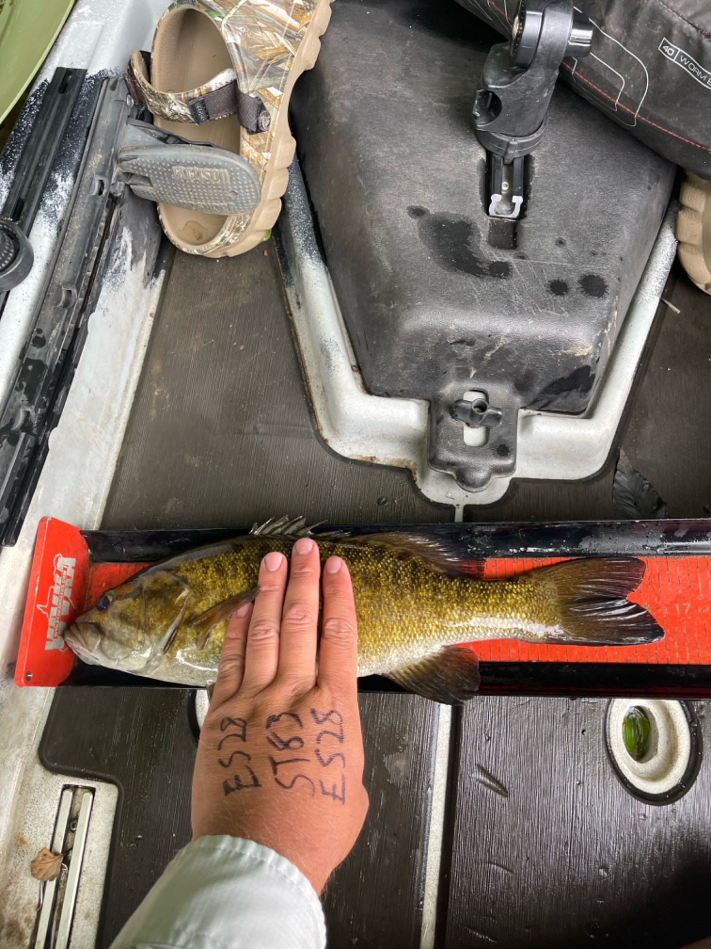 Justin Farris Angler Profile