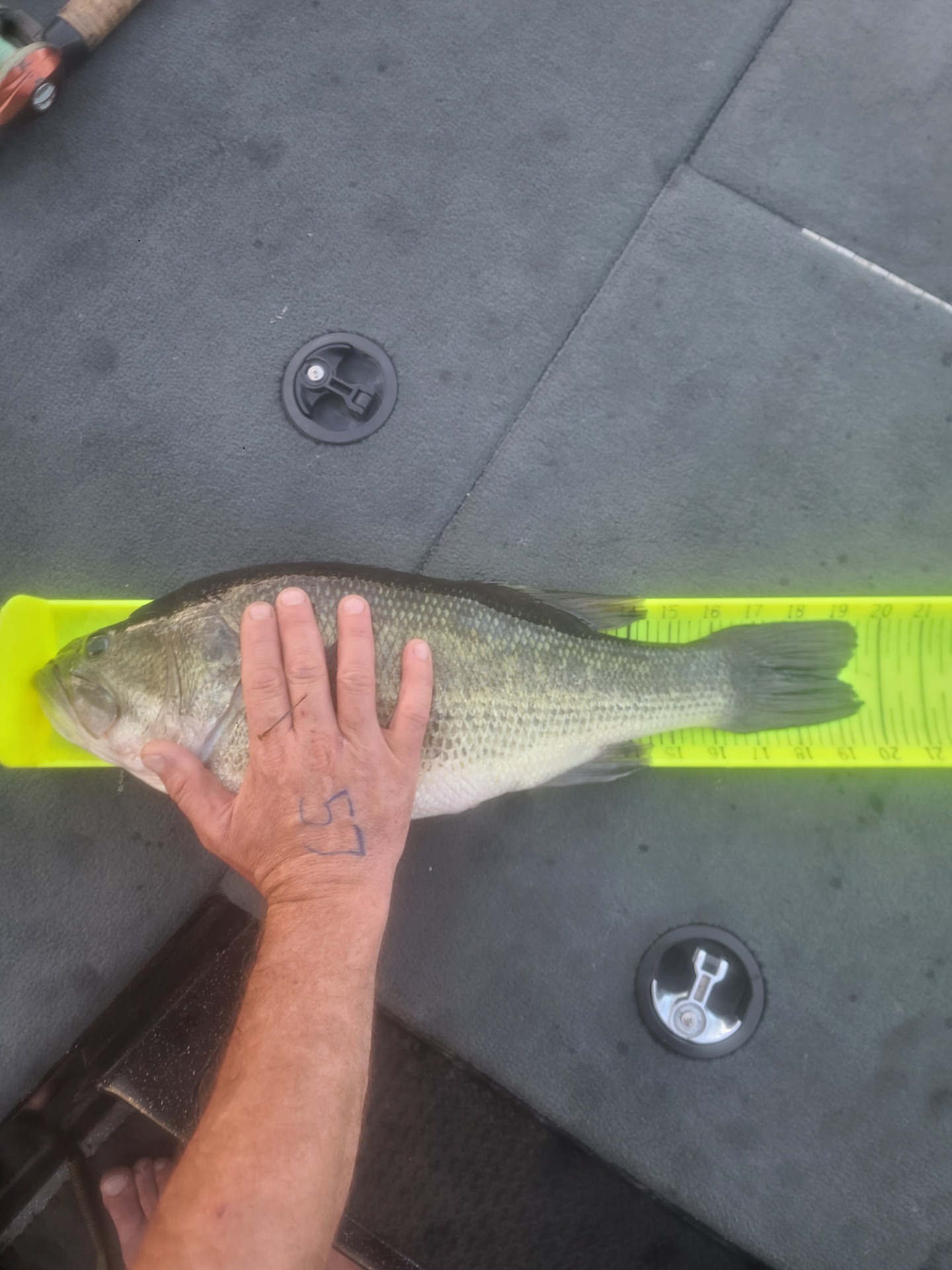 Paul Colwell Angler Profile