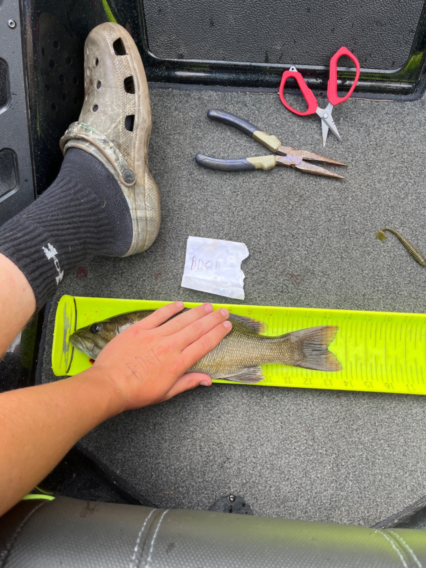 Ethan Holcomb Angler Profile