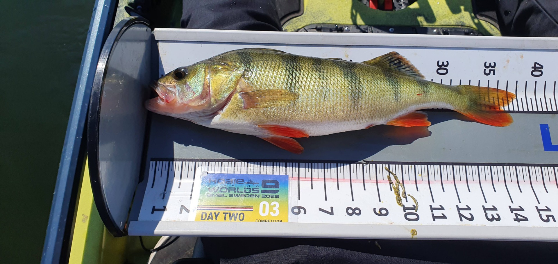 James Darke Angler Profile