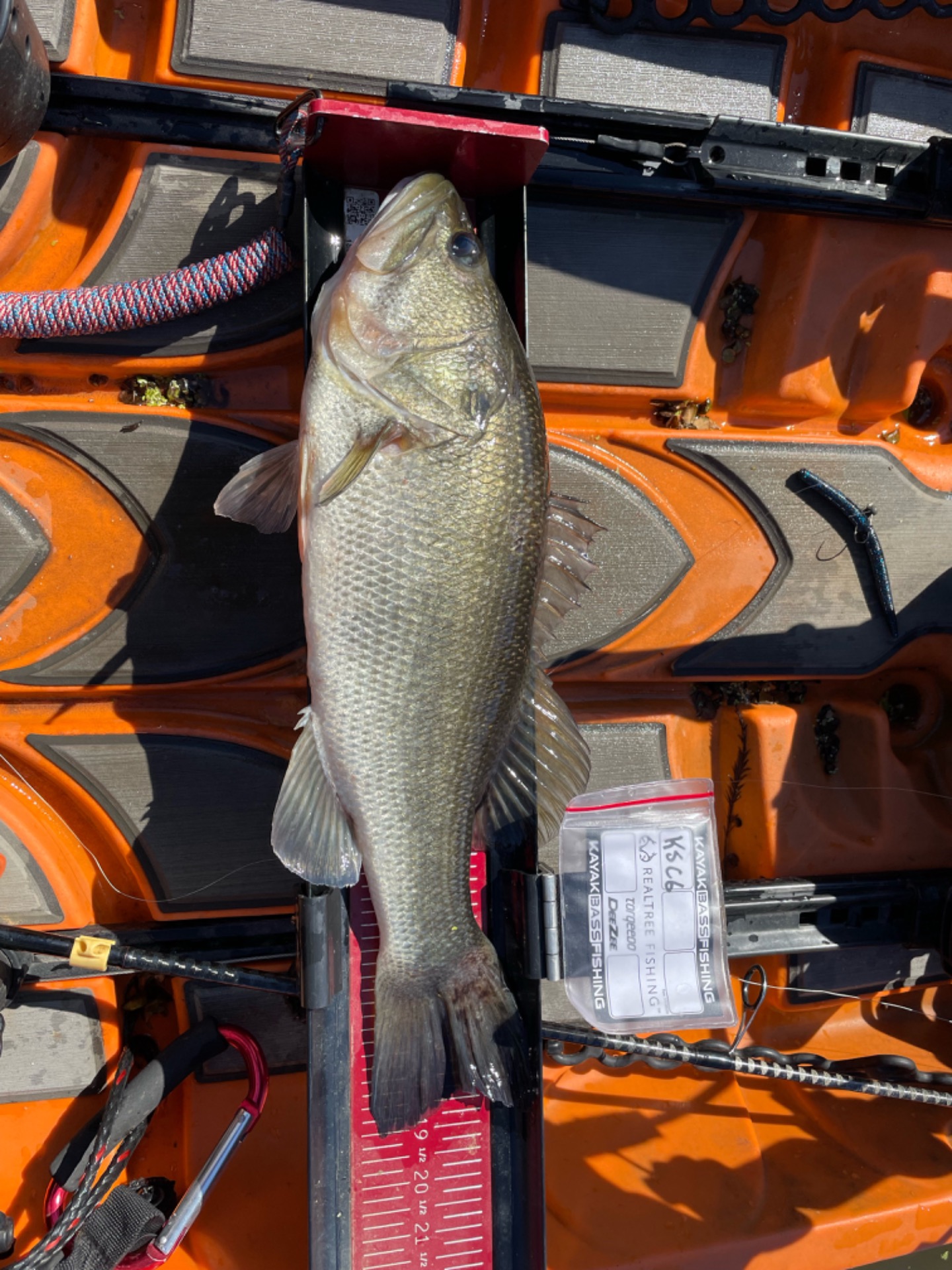 Lance Berry Angler Profile