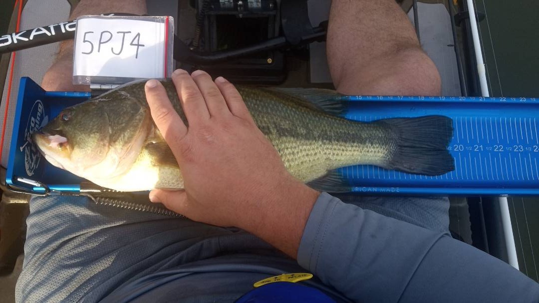 Mark VanMeter Angler Profile