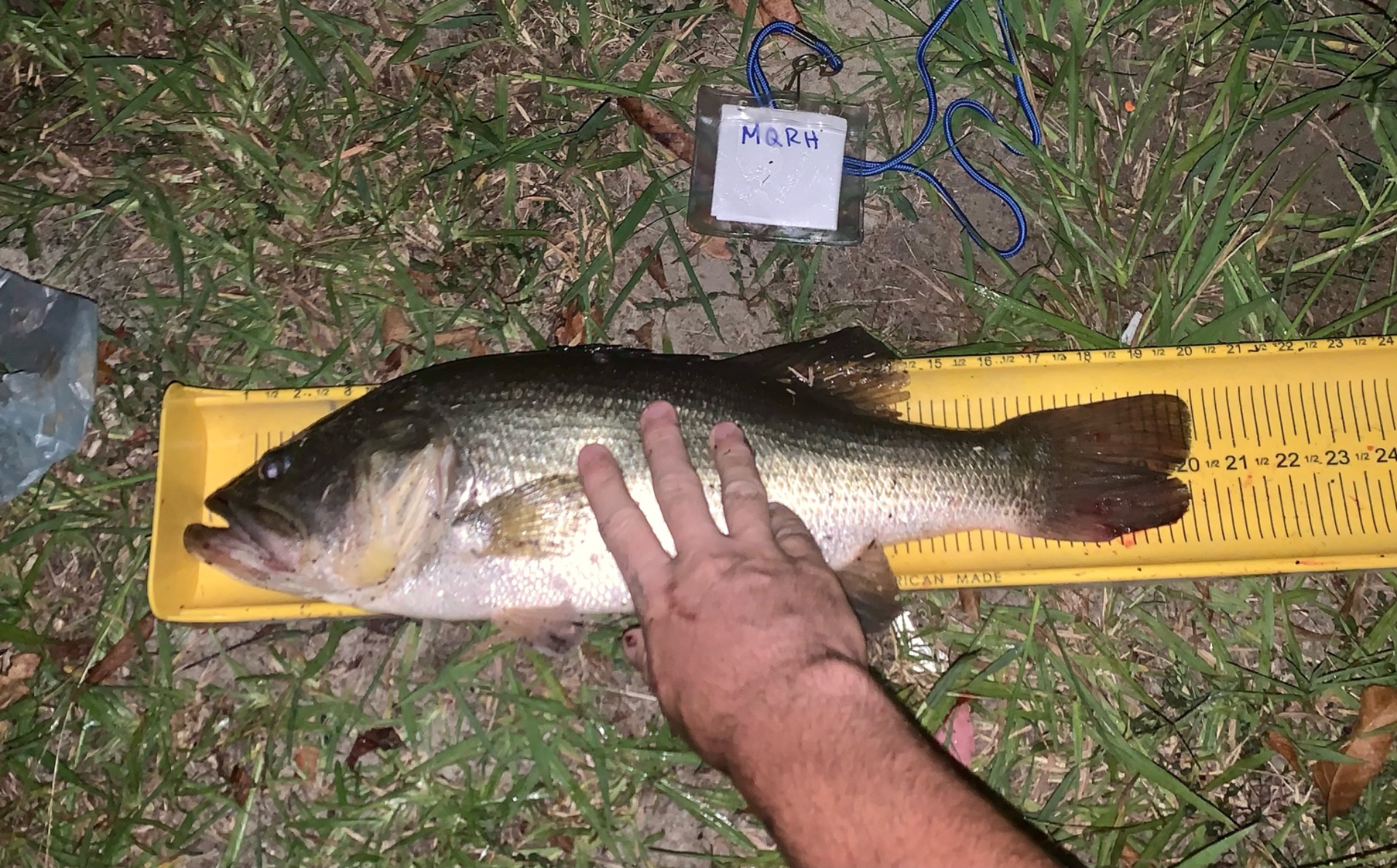 Michael Kelsen Angler Profile