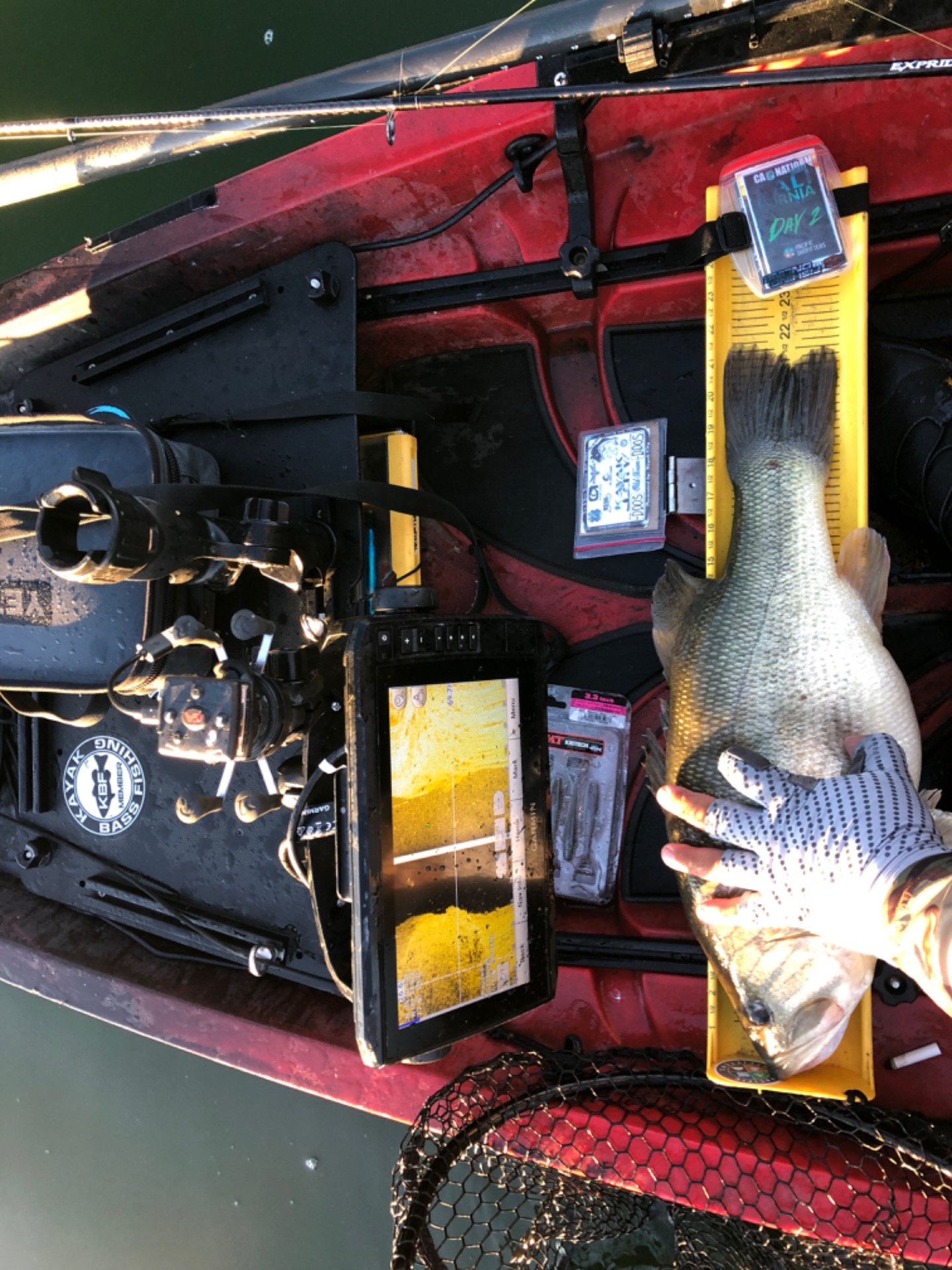 AJ Ramirez Angler Profile