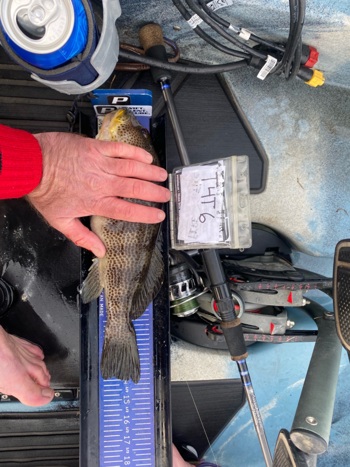 Ryan Moriarty Angler Profile