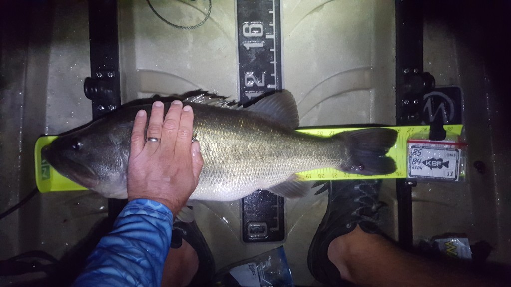 William Weems Angler Profile