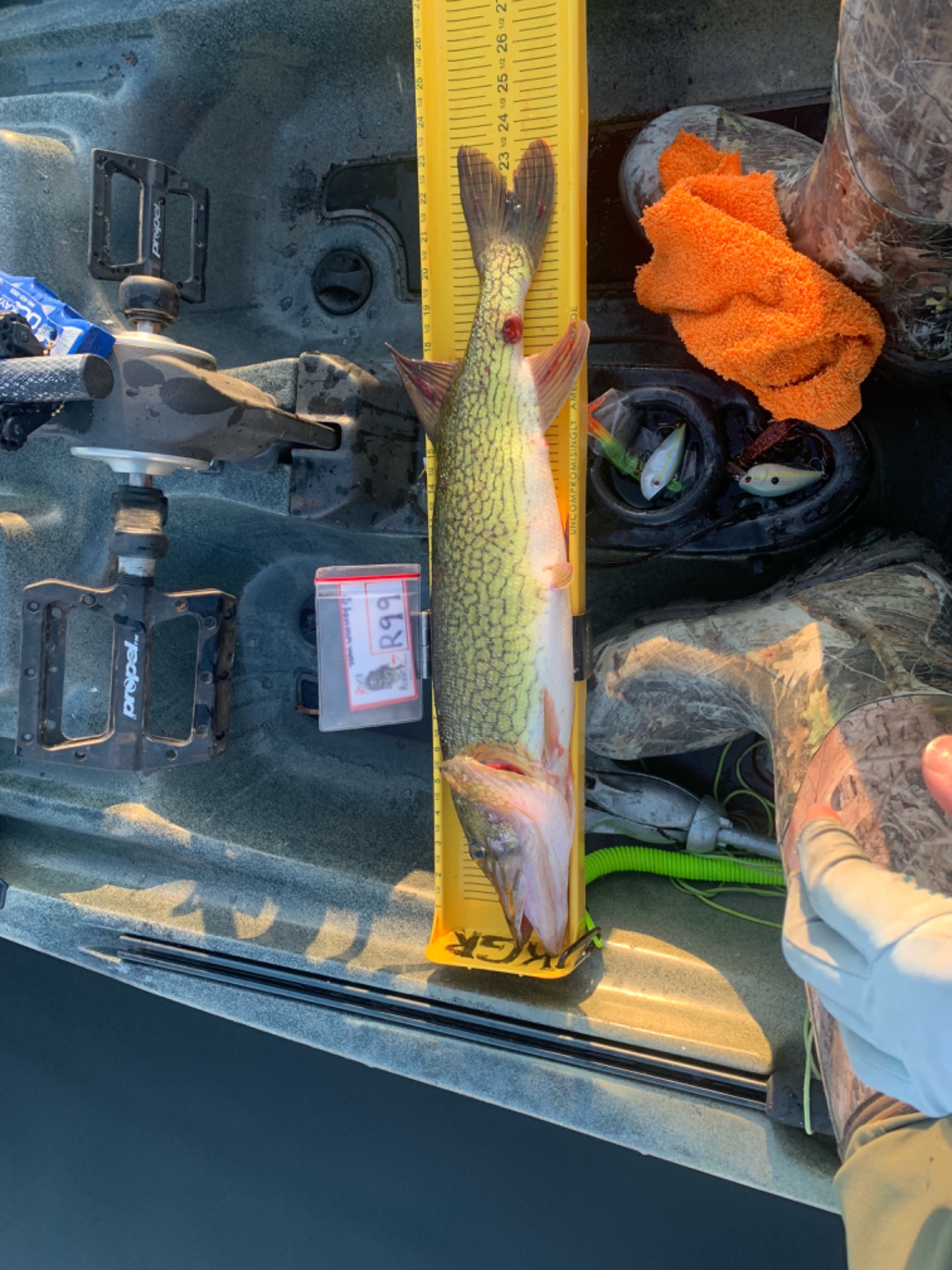 Greg Kessinger Angler Profile