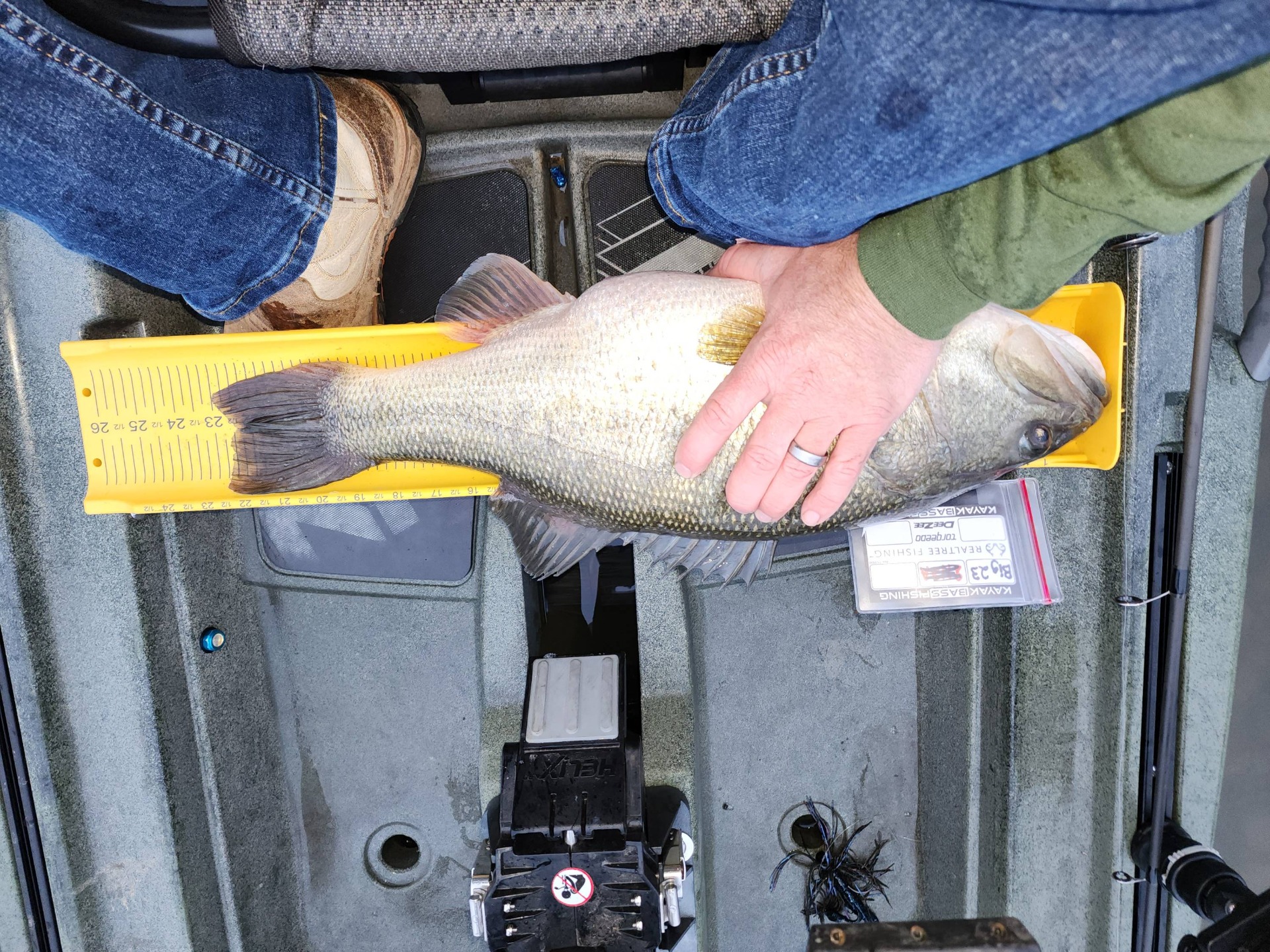 Ryan Abels Angler Profile