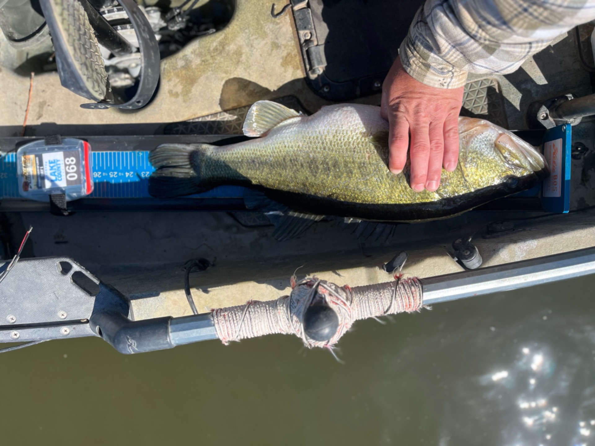 Adam Dewitt Angler Profile