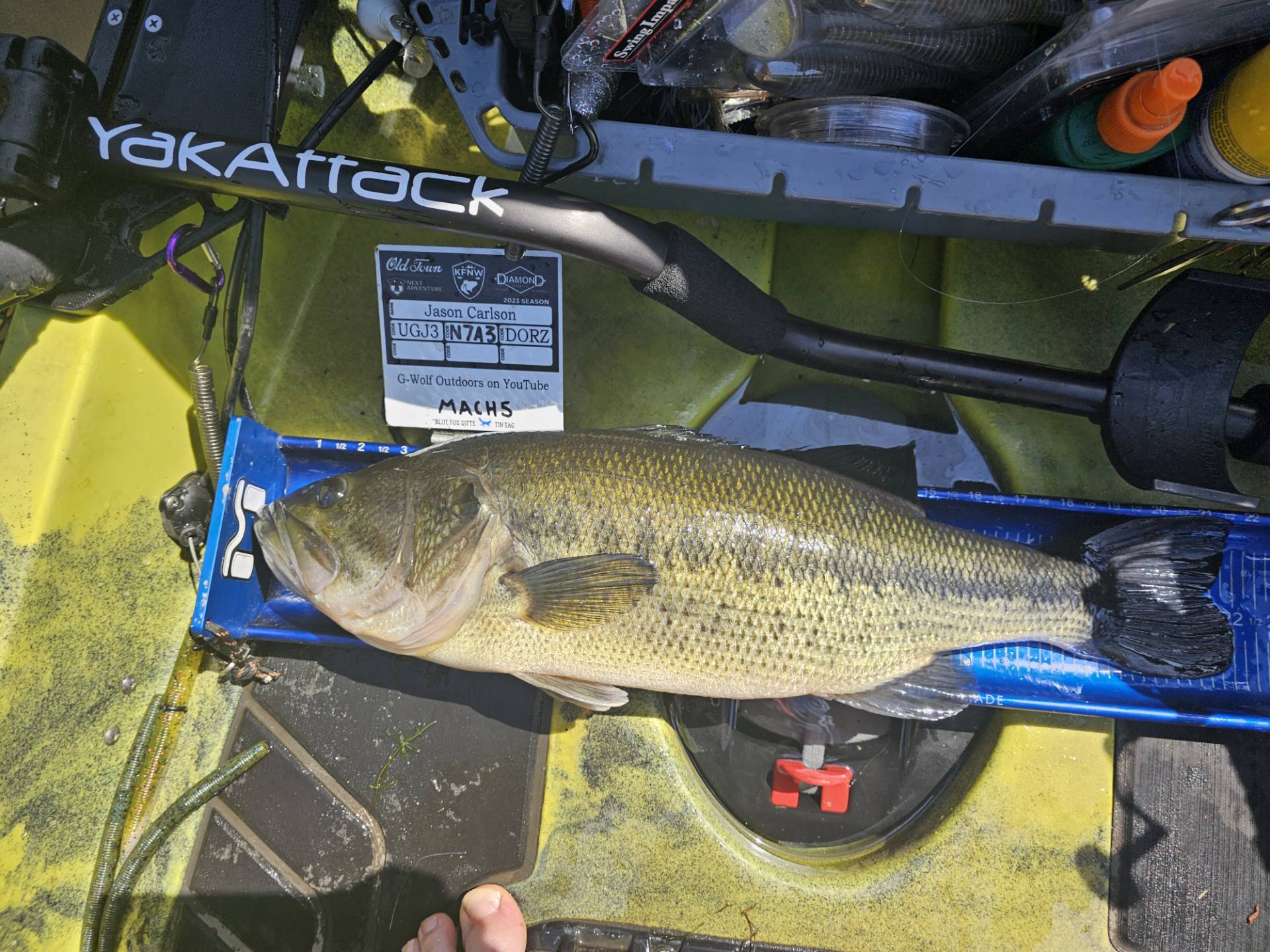 Jason Carlson Angler Profile