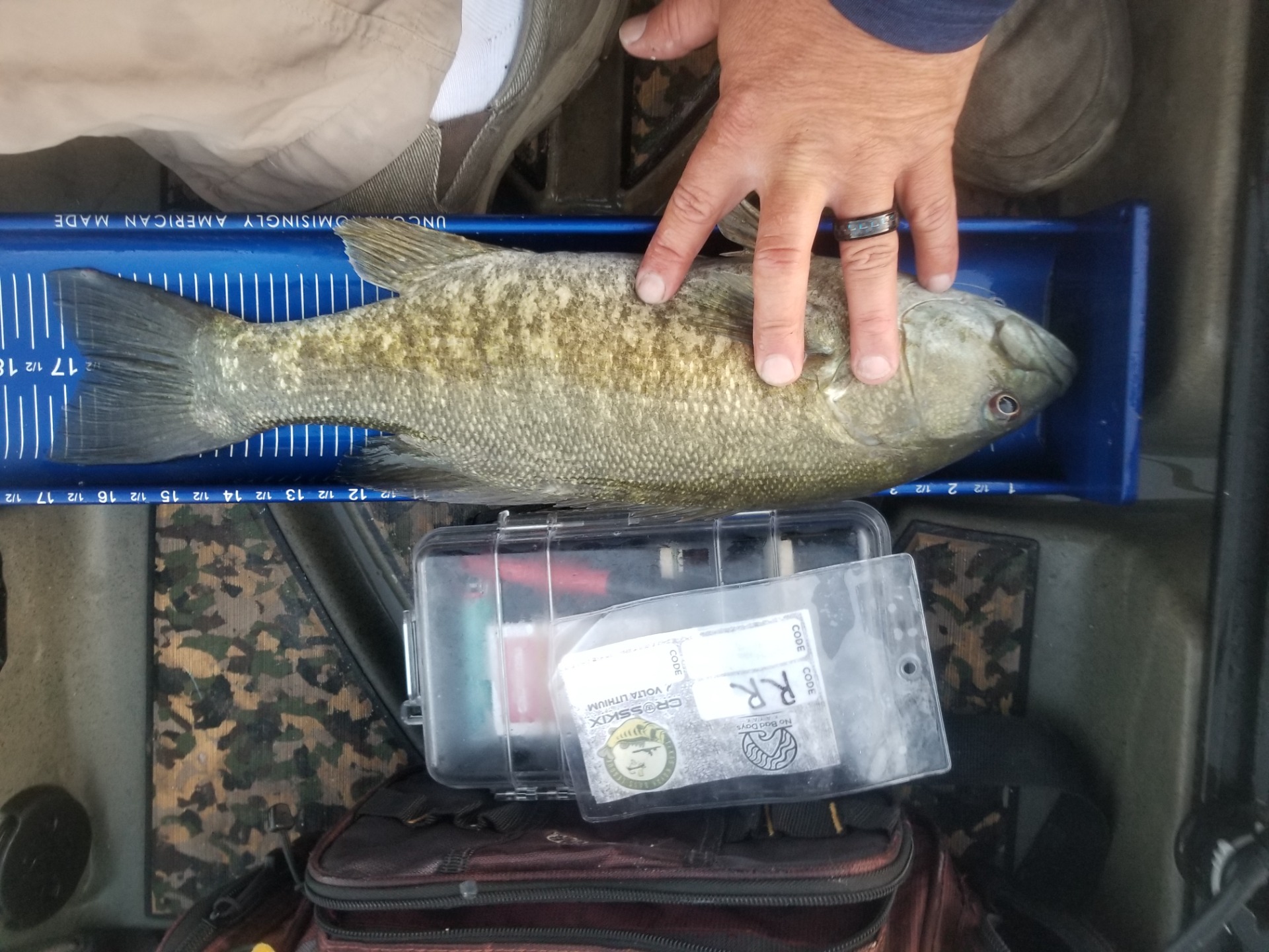 James McCrorey Angler Profile