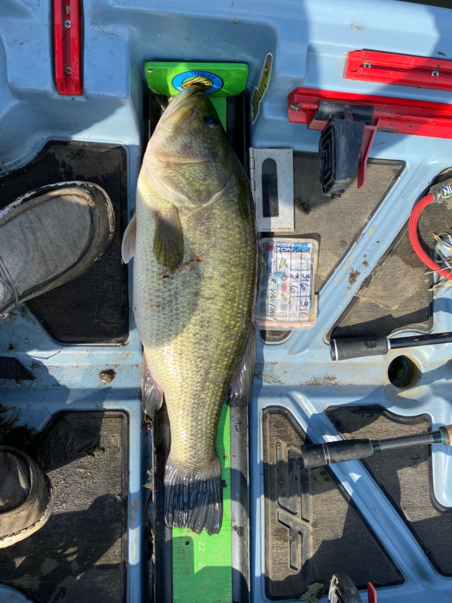 Ryan VanTine Angler Profile