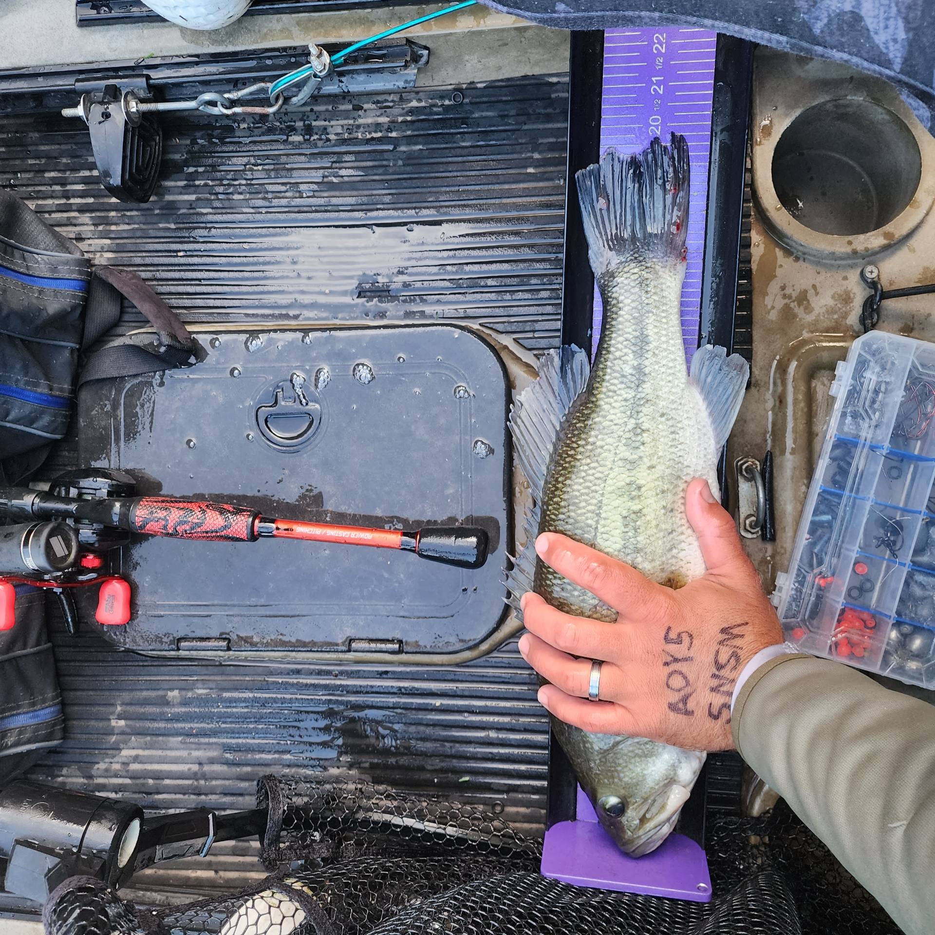 Brandon Yoder Angler Profile