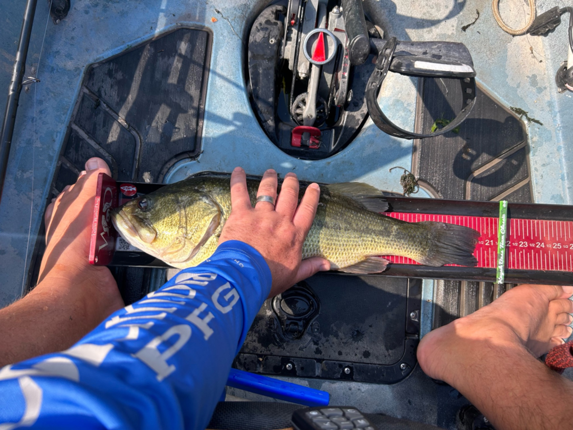 David Kehrer Angler Profile