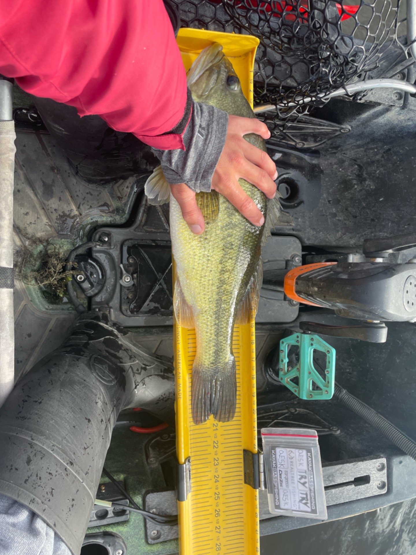 Adrian Dube Angler Profile