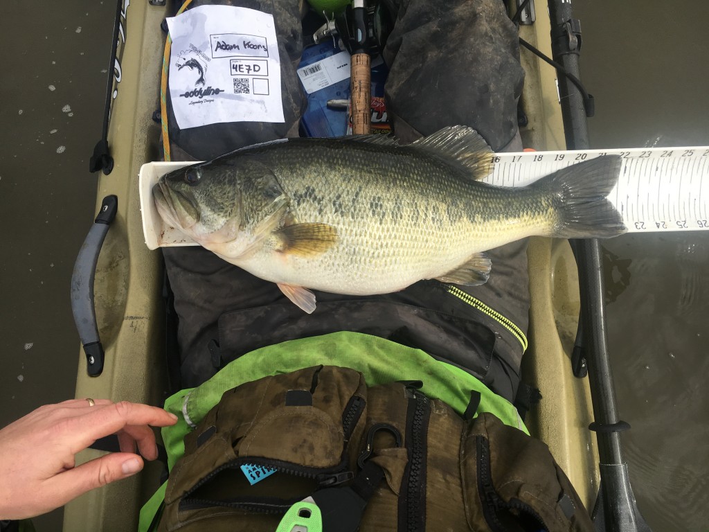 Adam Koons Angler Profile