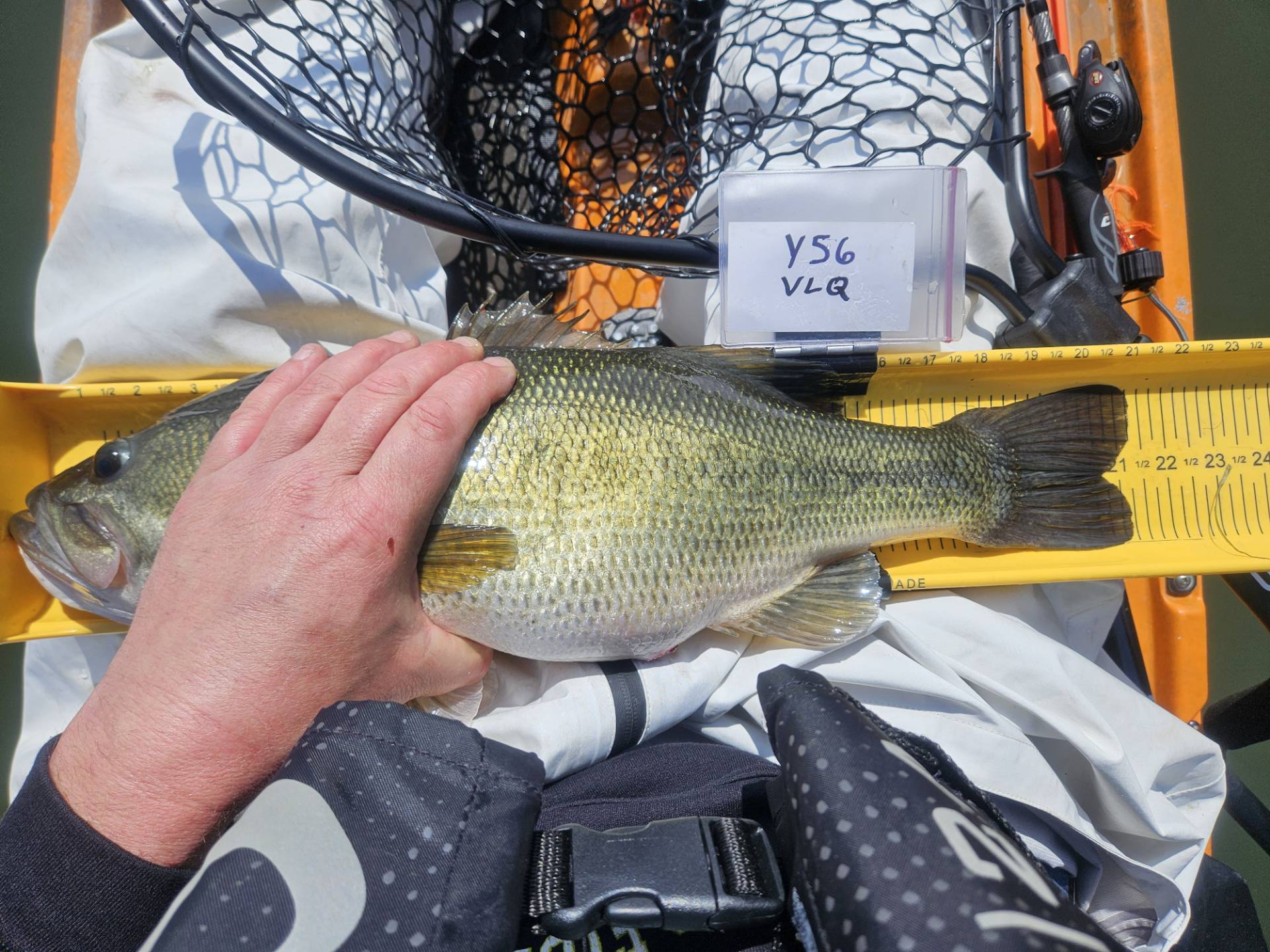 Benjamin Burks Angler Profile