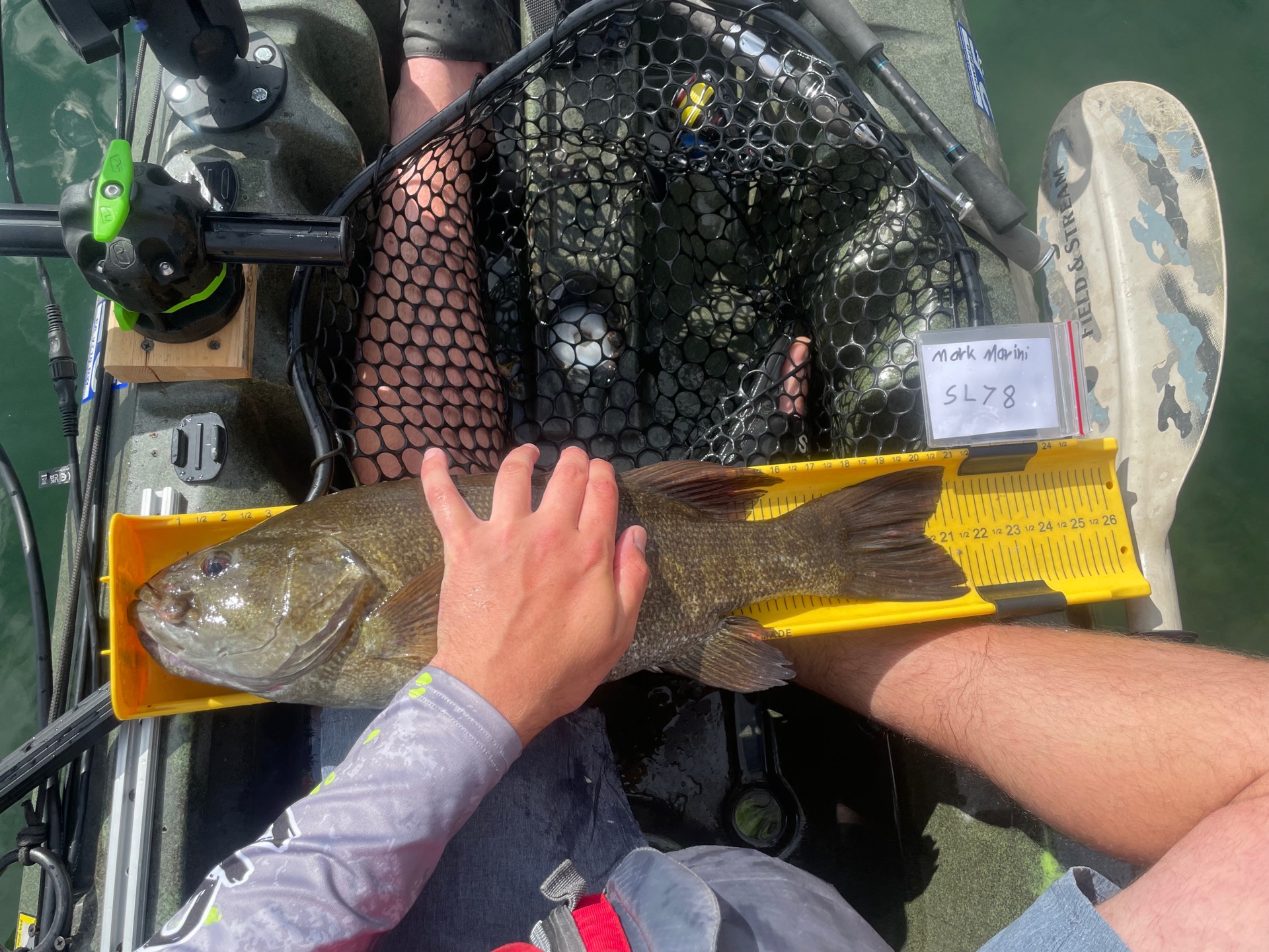 Mark Marini Angler Profile