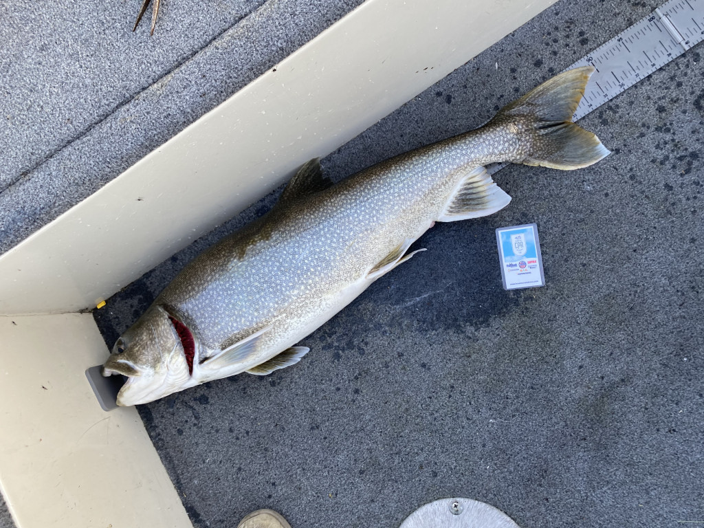 Kevin Tearle Angler Profile