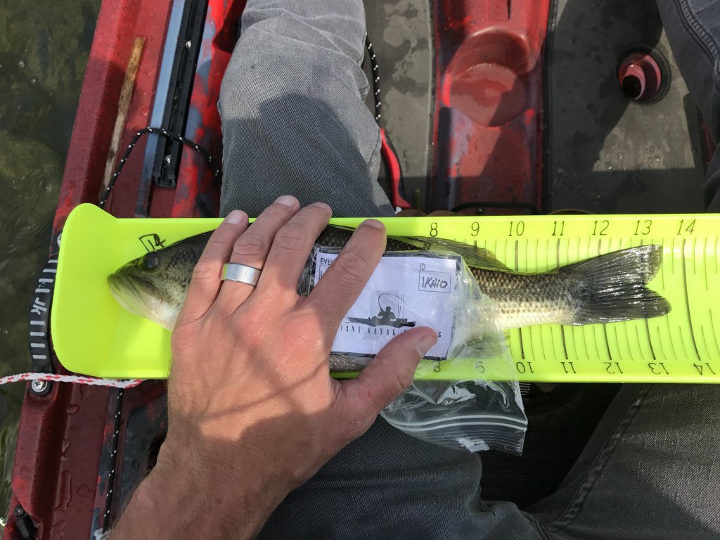 Jason Bowersock Angler Profile