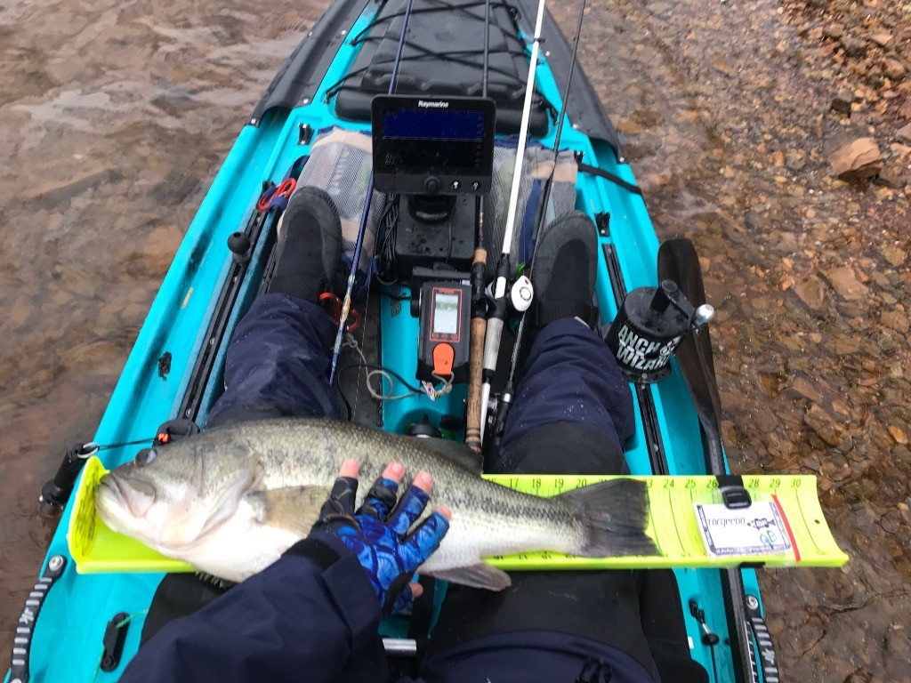 Brandon Utley Angler Profile