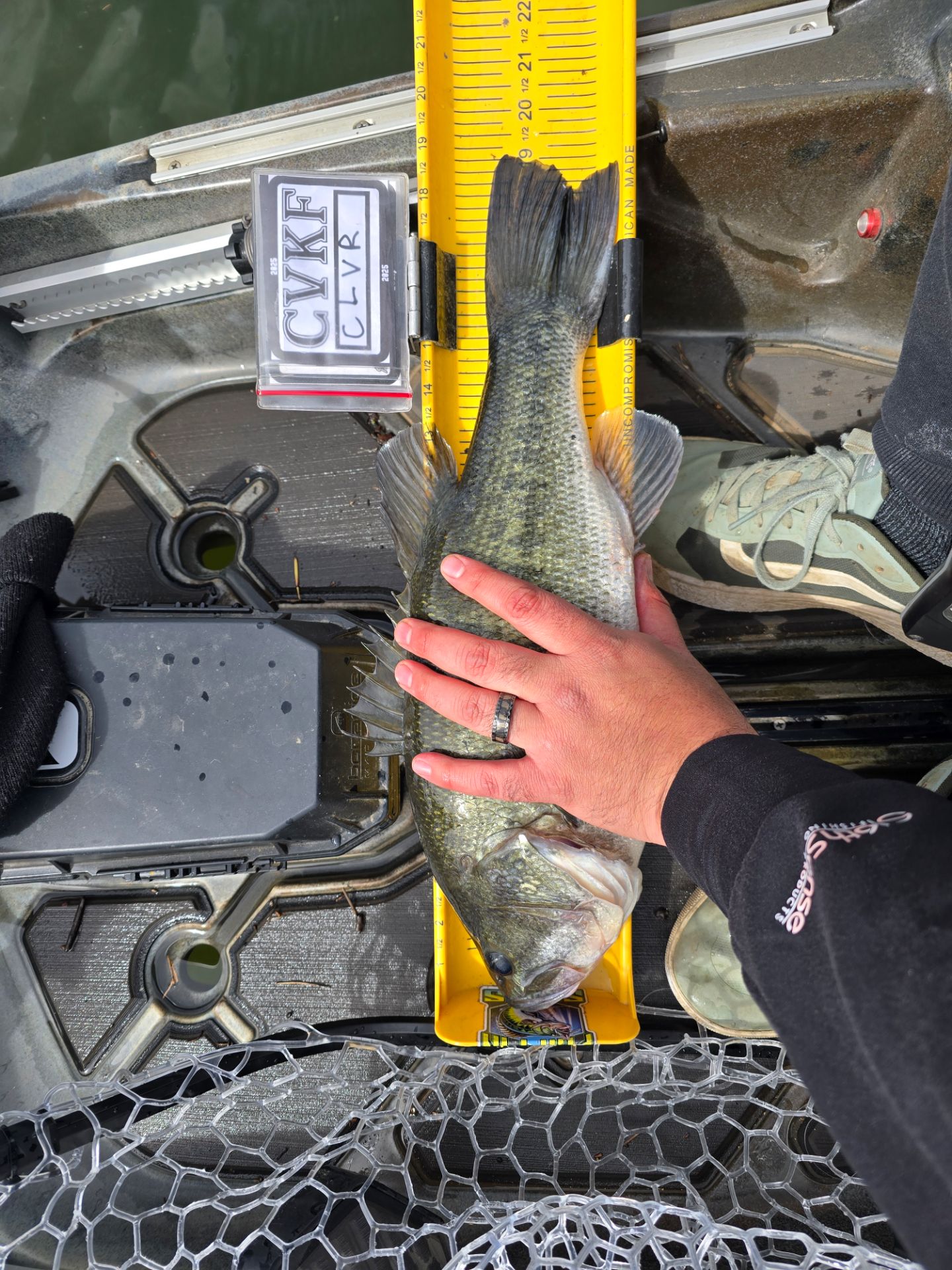 Mark Steiner Angler Profile